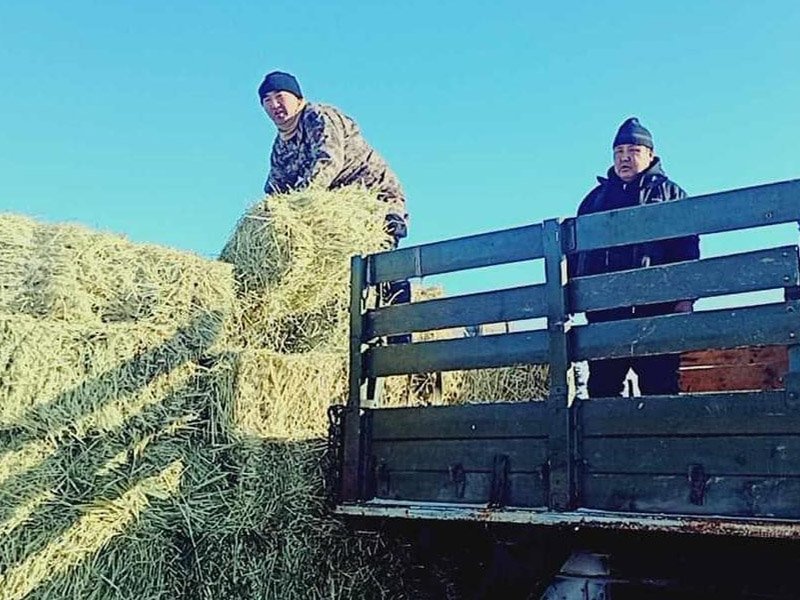 Зэвсэгт хүчний алба хаагчид Эрдэнэсант Лүн суманд ажиллаж байна